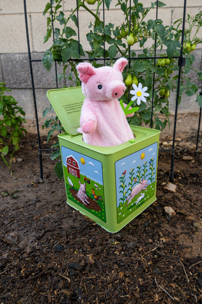 Poppy the Pig Jack-in-the-Box – jackrabbitcreations.com
