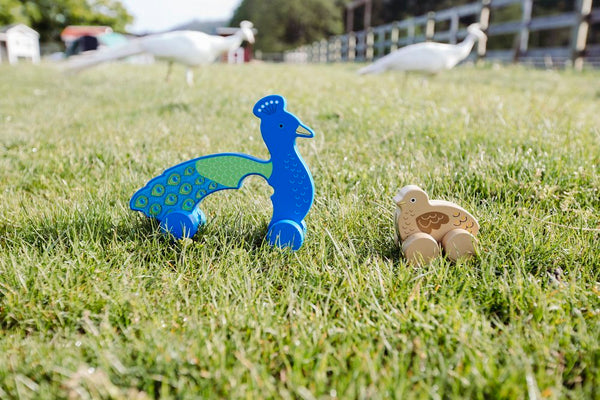 Big & Little Peacock - Push Toy – jackrabbitcreations.com